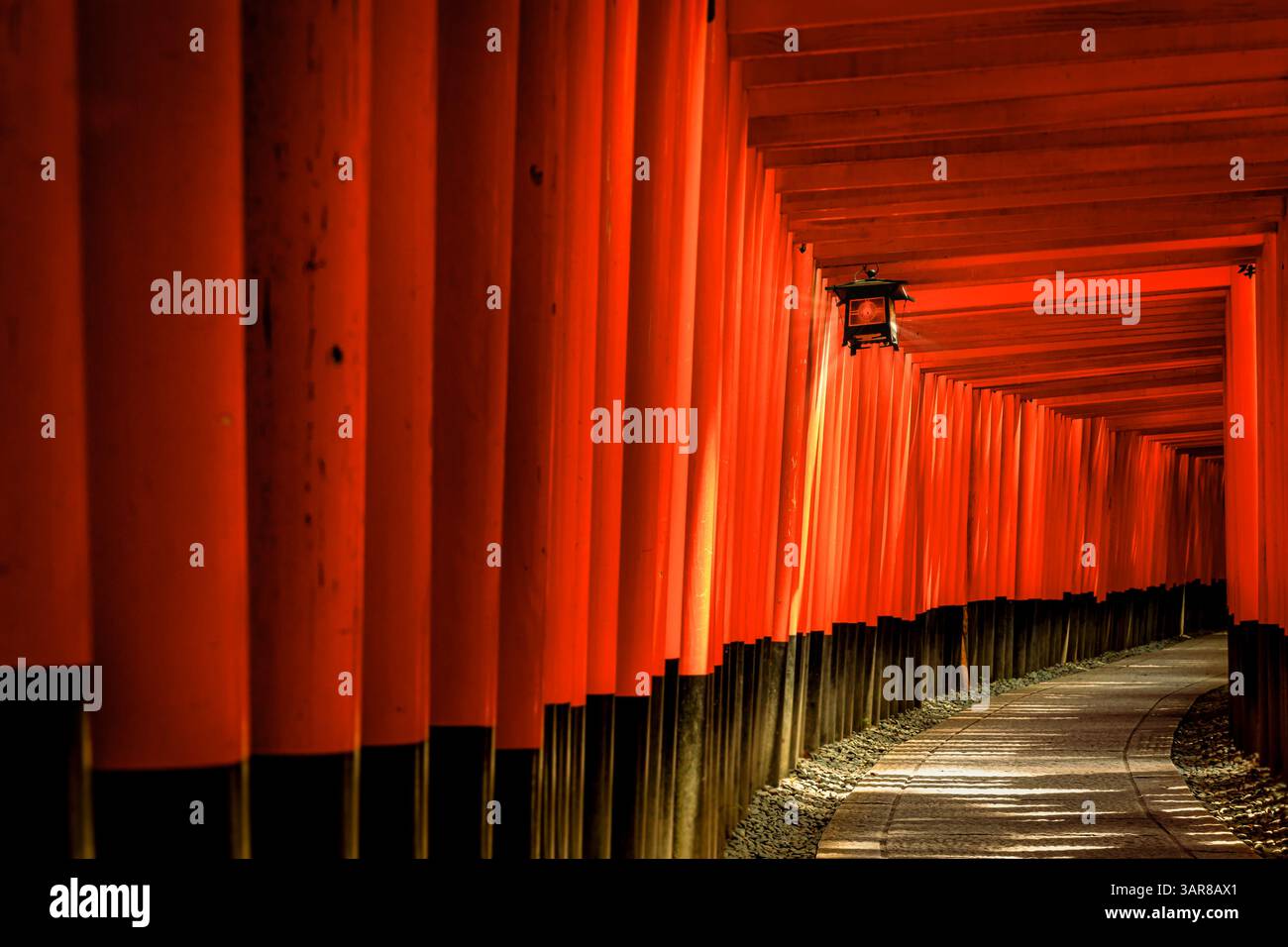 Walkway with torii leading to the inner shrine, Fushimi Inari-taisha ...