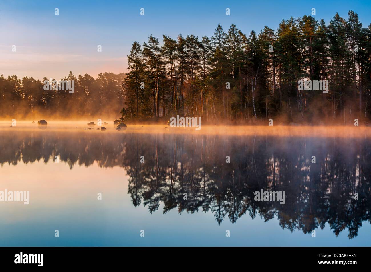 Swedish lake at sunrise, Småland, Sweden Stock Photo - Alamy