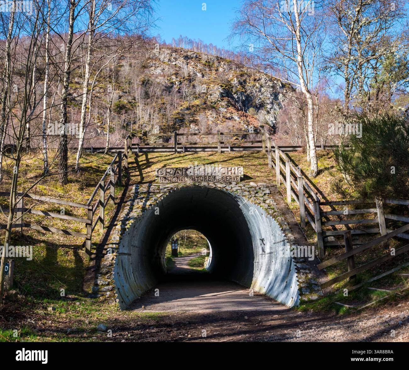 Tunnel under A9 entrance to Craigellachie National Nature Reserve ...