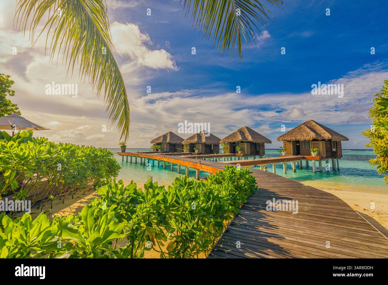 Maldives water villa jetty by palm leaves. Luxury tropical destination ...