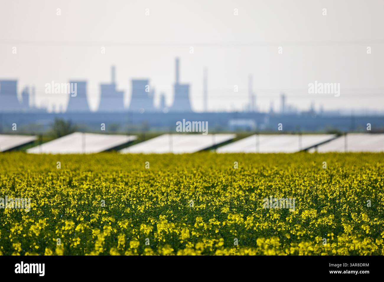 three types of energy production industries, rapeseed, photovoltaic ...
