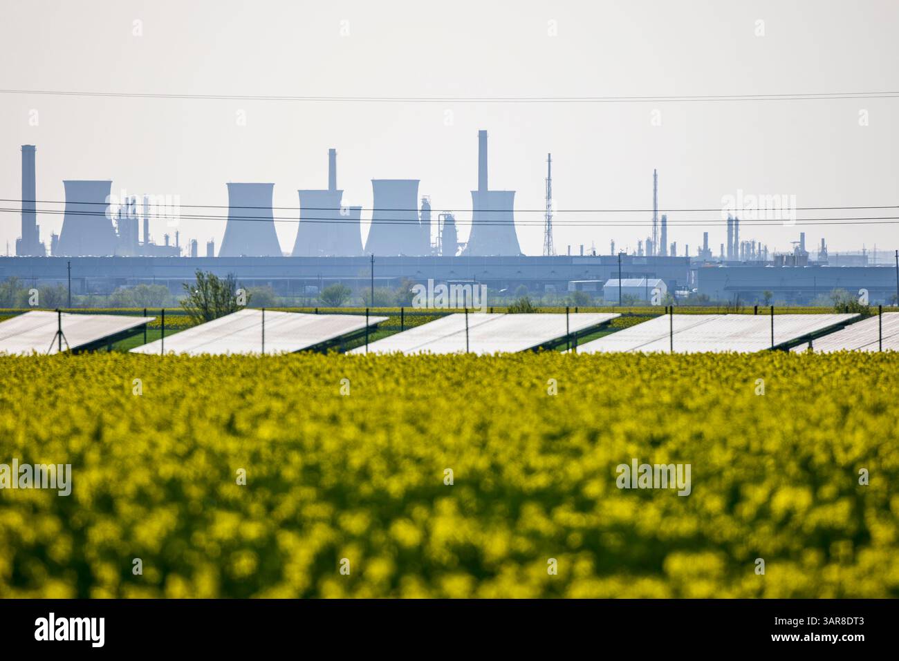 three types of energy production industries, rapeseed, photovoltaic ...