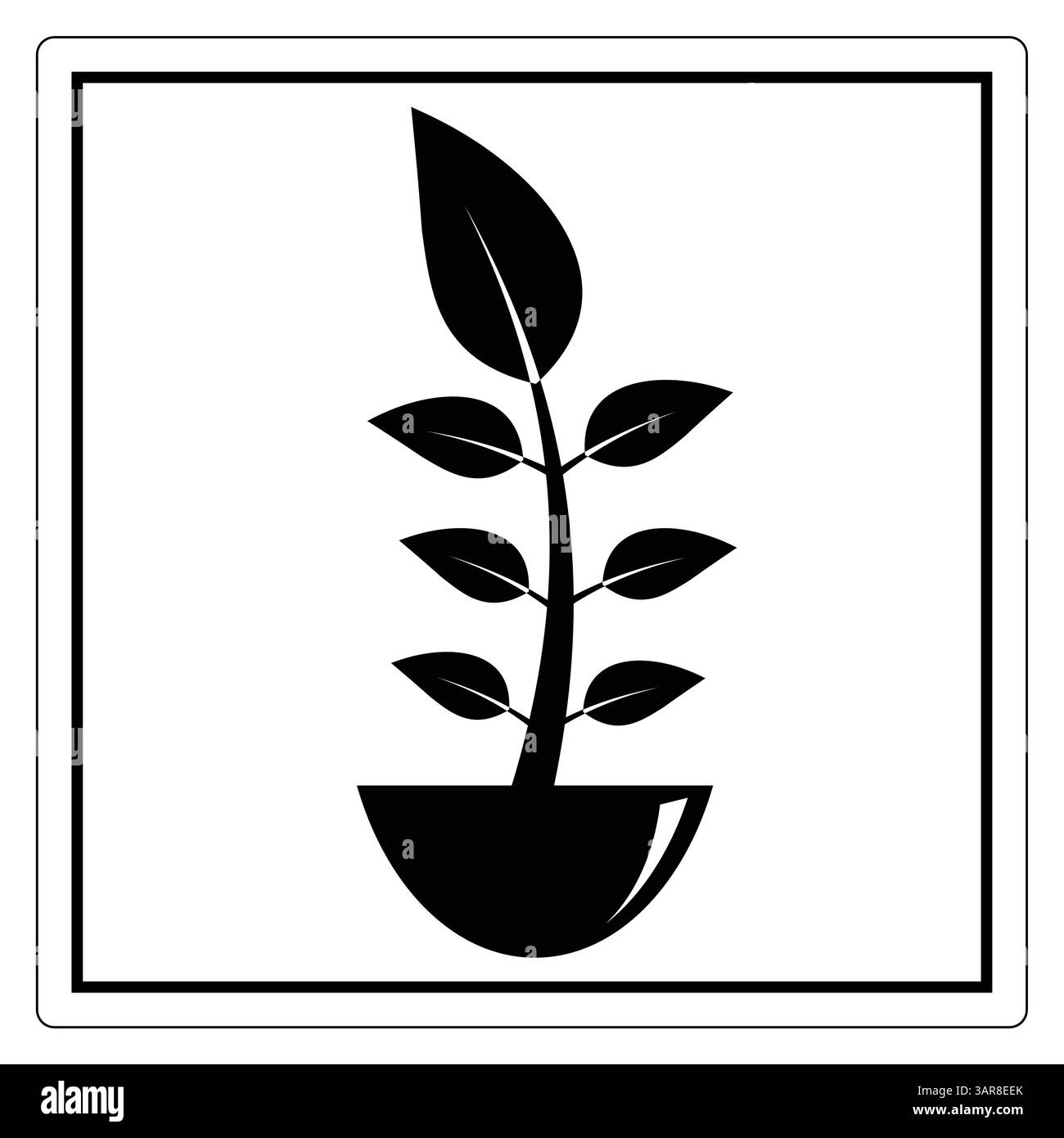 Focused growth Black and White Stock Photos & Images - Alamy