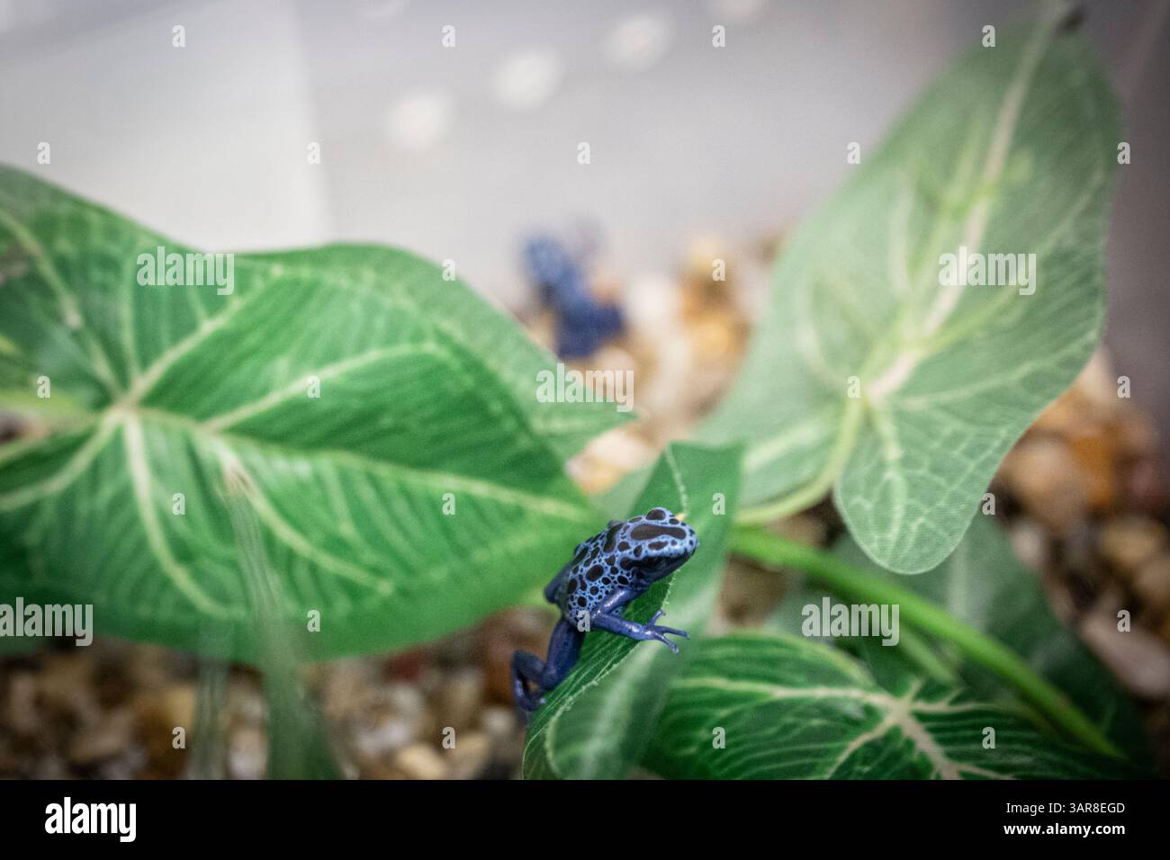 Liberec, Czech Republic. 17th Apr, 2025. Exposition dedicated to ...