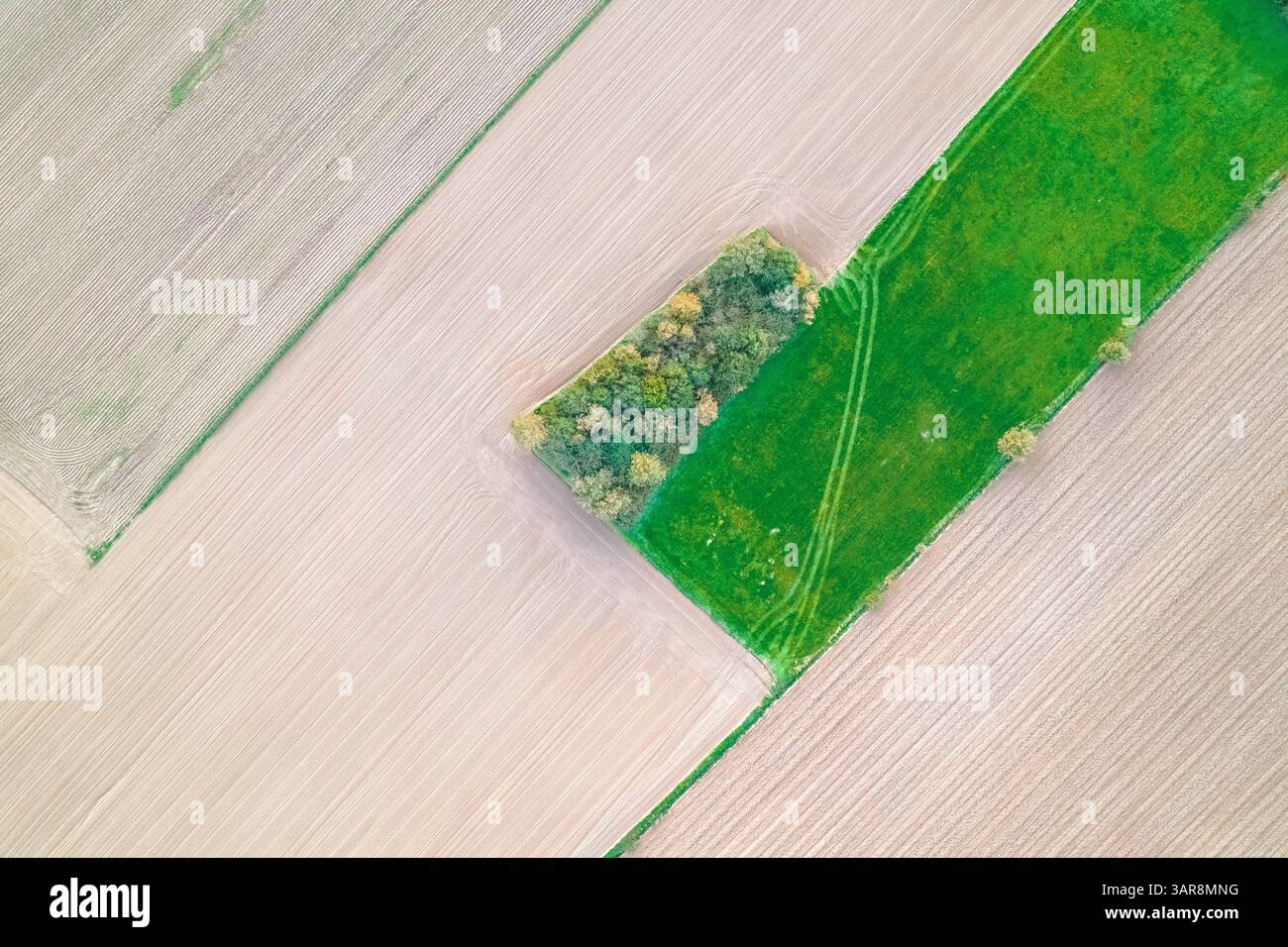 aerial view of agricultural fields with different textures scenic ...