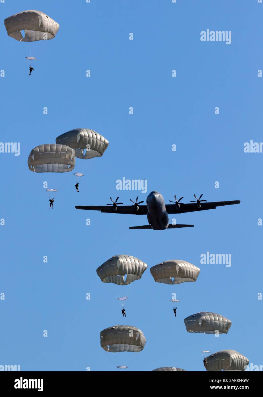 Military parachutist paratroopers parachute jumping out of an air force ...