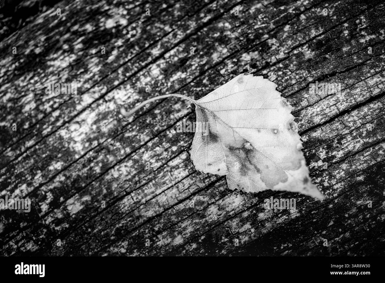 Picturesque dry landscape in Black and White Stock Photos & Images - Alamy