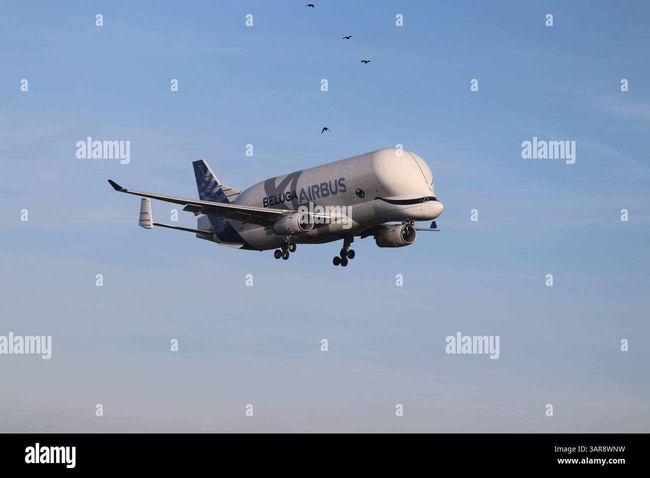 Airbus Beluga XL Stock Photo - Alamy