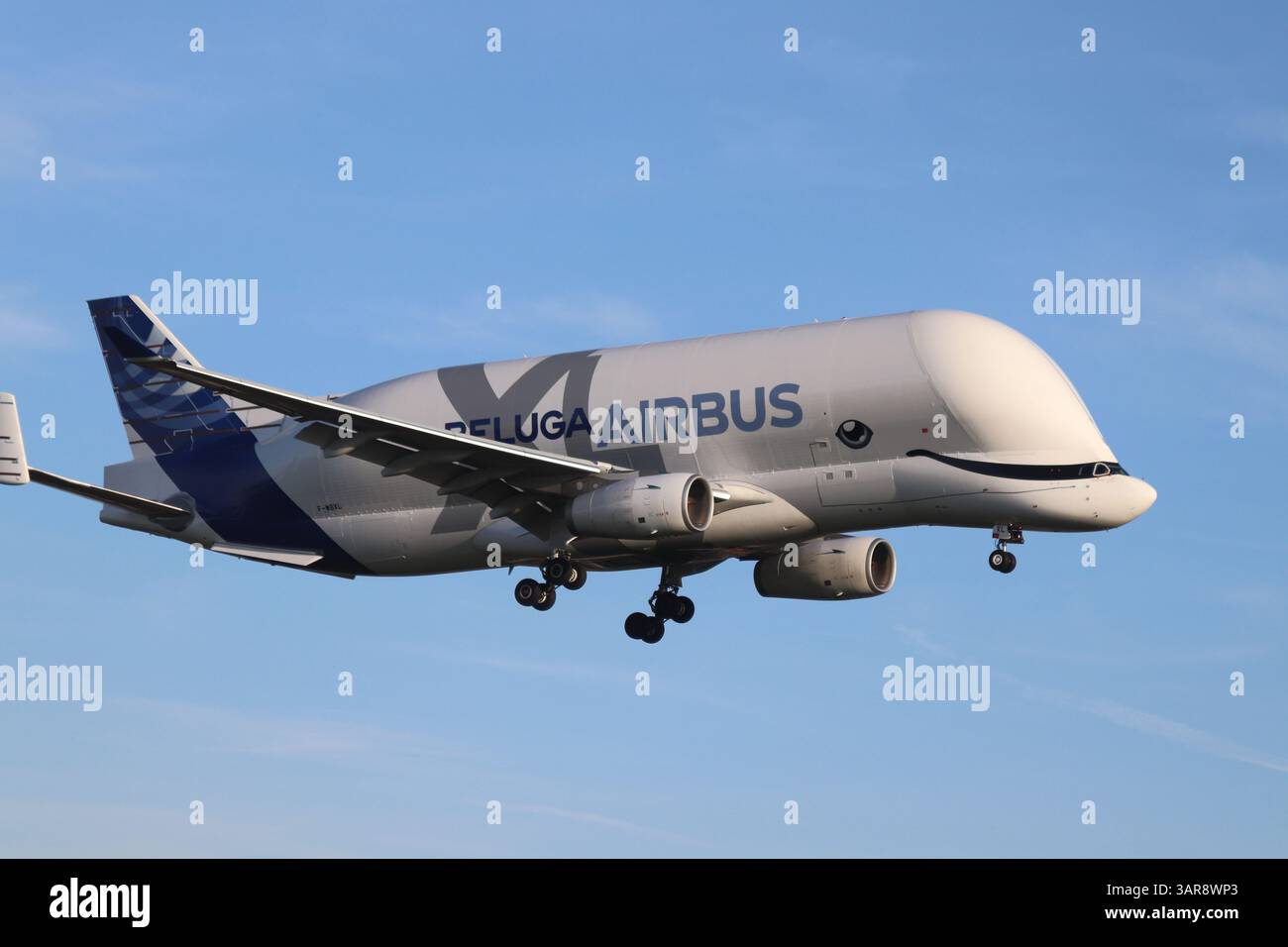 Airbus Beluga XL Stock Photo - Alamy