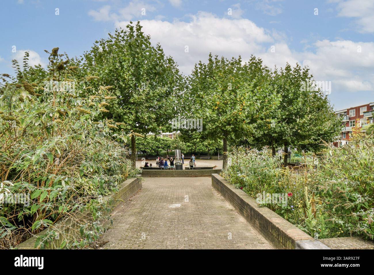 A peaceful park walkway lined with greenery, leading to a gathering ...
