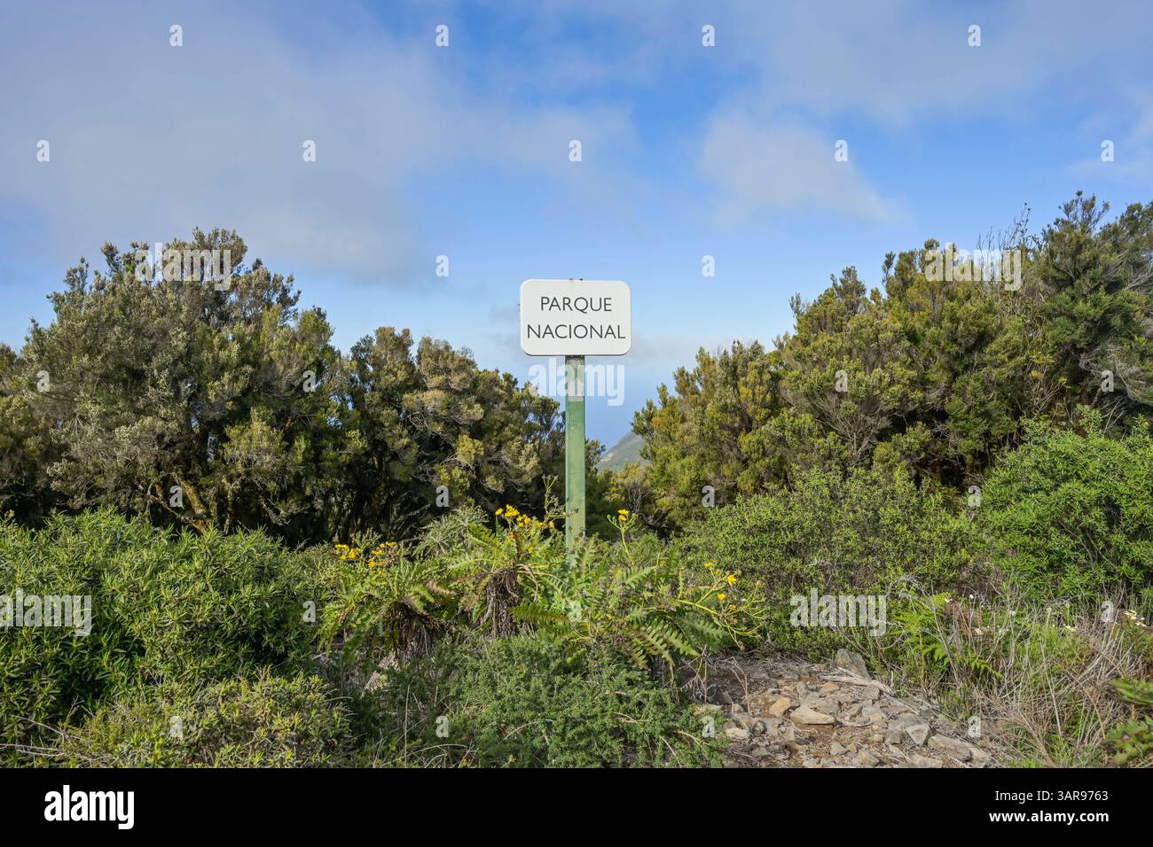 Schild, Parque Nacional, Nationalpark Garajonay, Wald nahe El Cedro, La ...