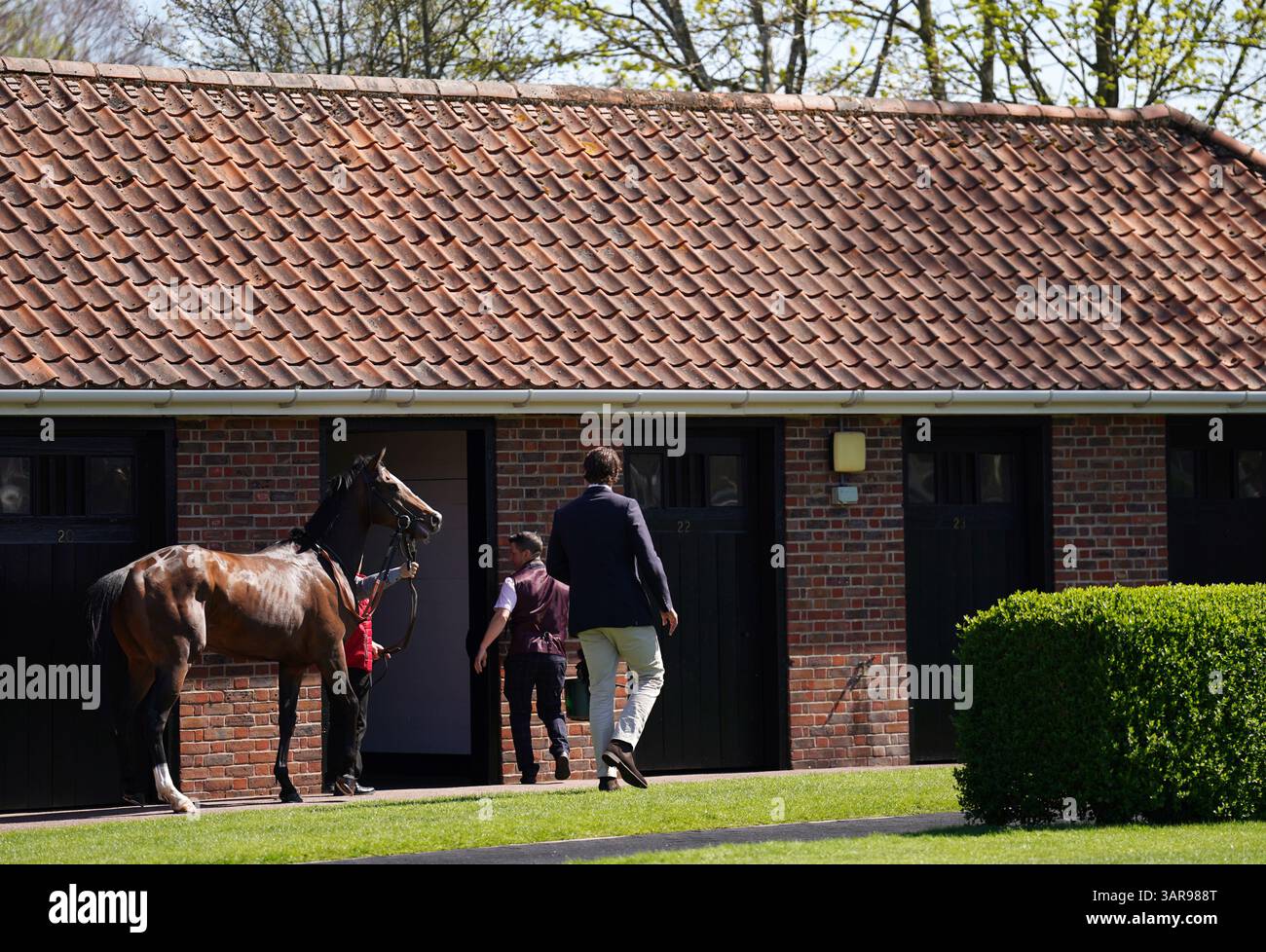 A horse is led from the stables before day three of the Craven Meeting ...