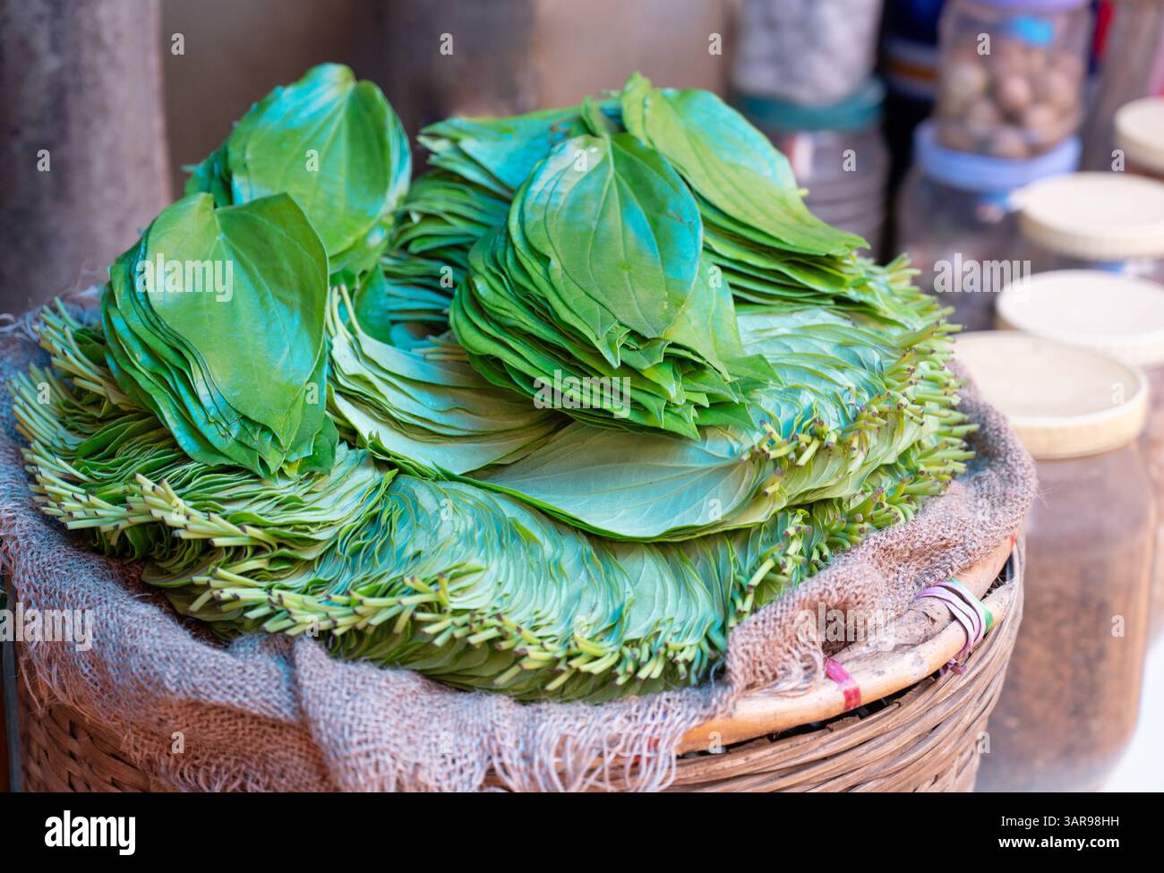 Betel leaves heap on a market in India, Piper betle used for chewing ...
