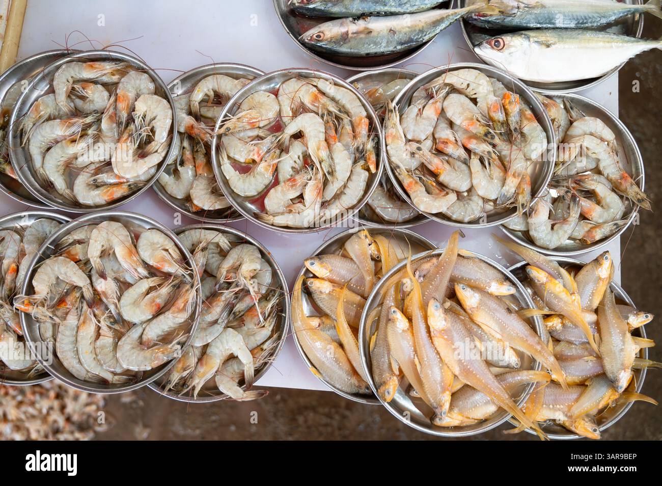 Fish market in Mumbai India, market stall with freshly caught seafood ...