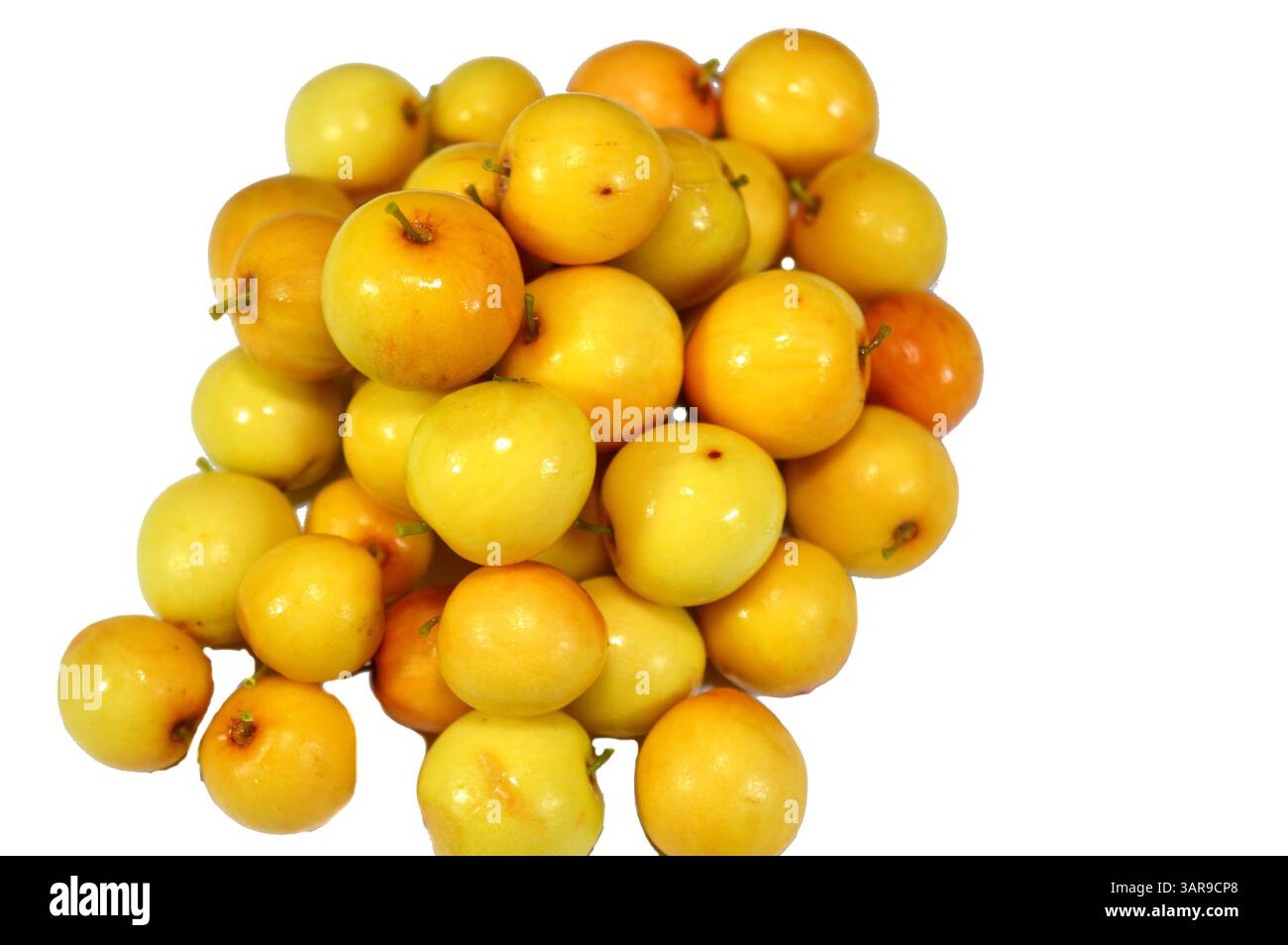 Many shrubs Cut Out Stock Images & Pictures - Alamy