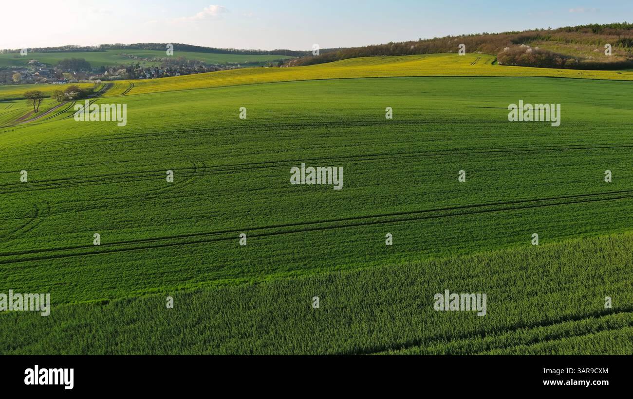 Green wavy hills with agricultural fields Stock Photo - Alamy