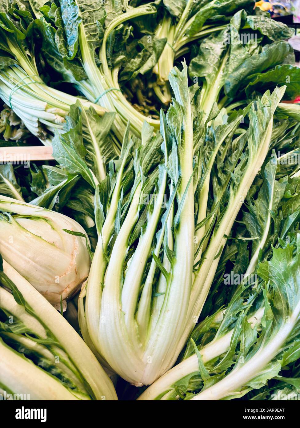 Fresh chicory at the market stall in Tuscany, Italy. Background with ...