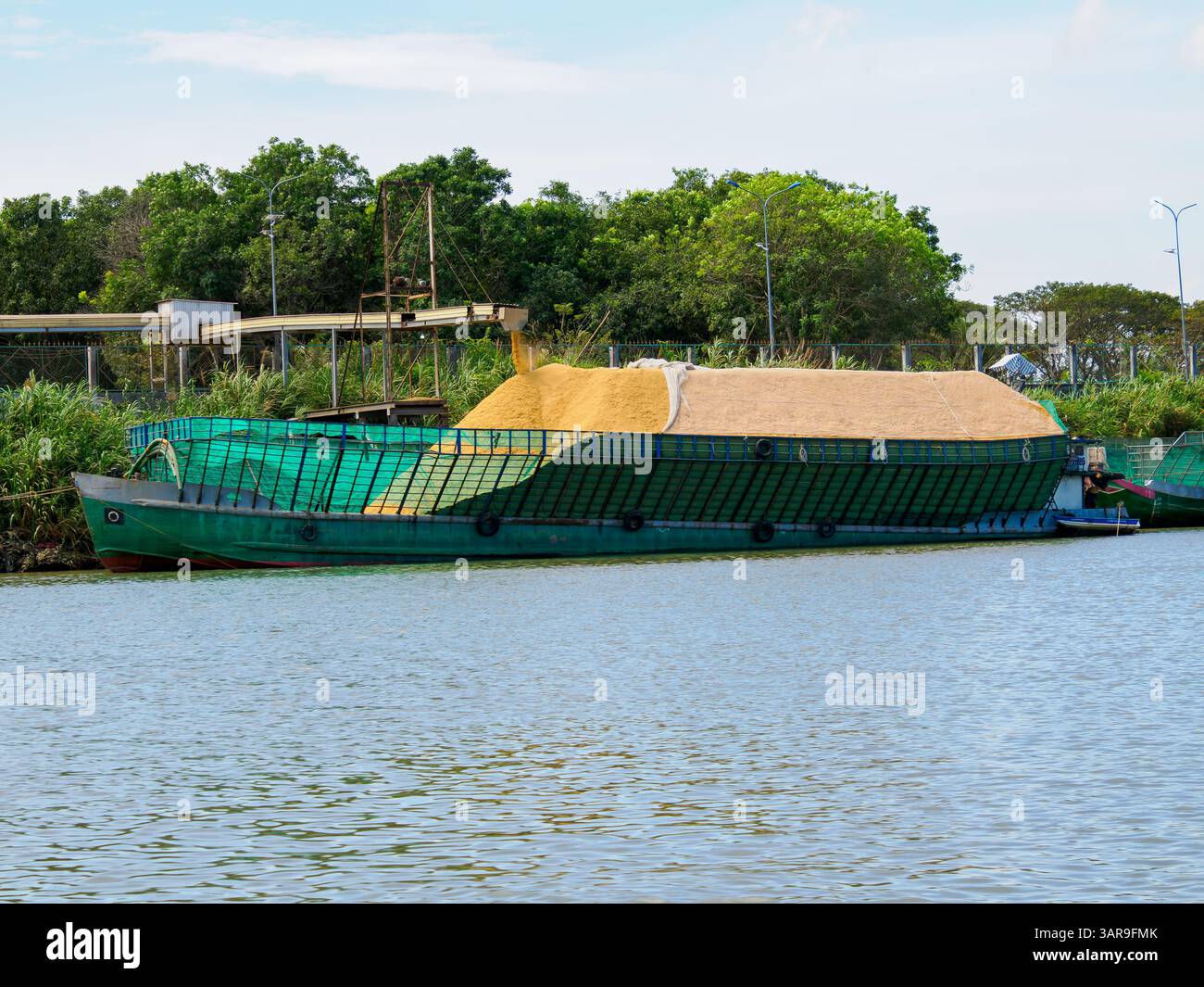 Loading rice husks onto a barge on the Mekong River, Tan Chau, Vietnam ...