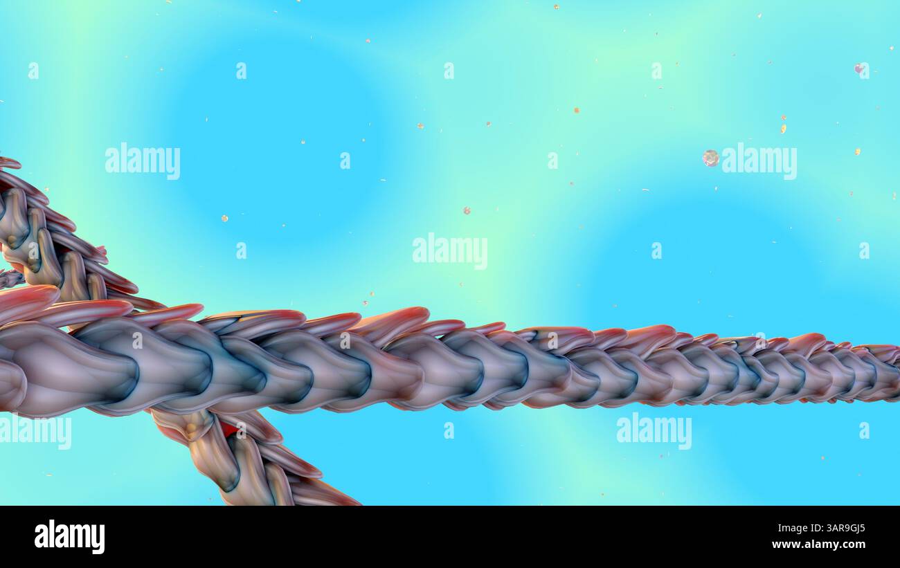 A 3D rendering of the actin cytoskeleton, a network of filamentous ...