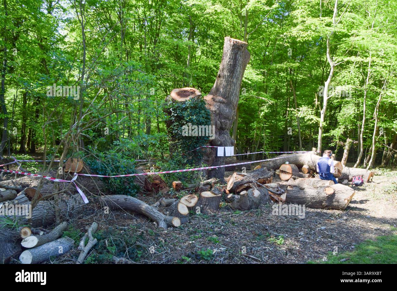 London, England, UK. 17th Apr, 2025. Sealed off remains of the ancient ...
