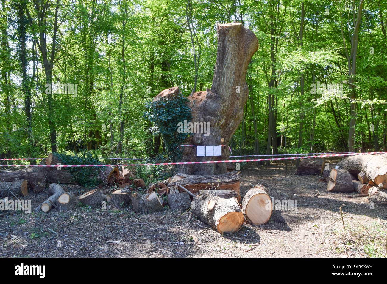 London, England, UK. 17th Apr, 2025. Sealed off remains of the ancient ...
