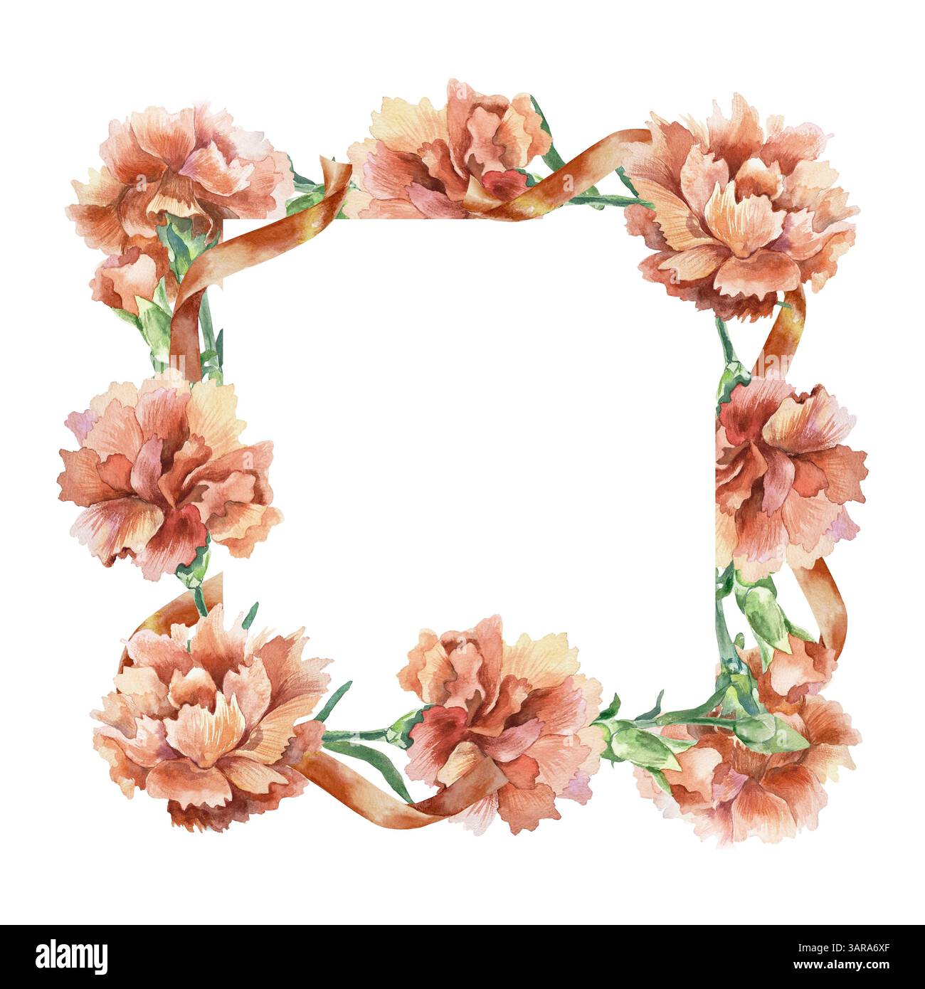 Red carnations, floral frame with ribbon. Hand drawn watercolor ...