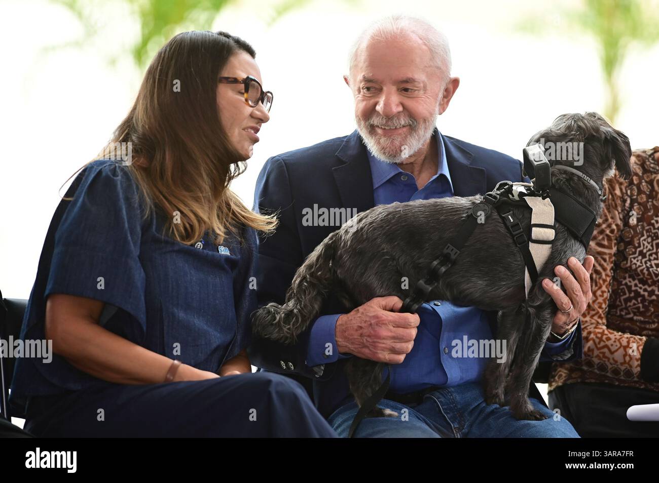 BRASÍLIA, DF - 17.04.2025: LULA LANÇA IDENTIFICAÇÃO DE CÃES E GATOS ...