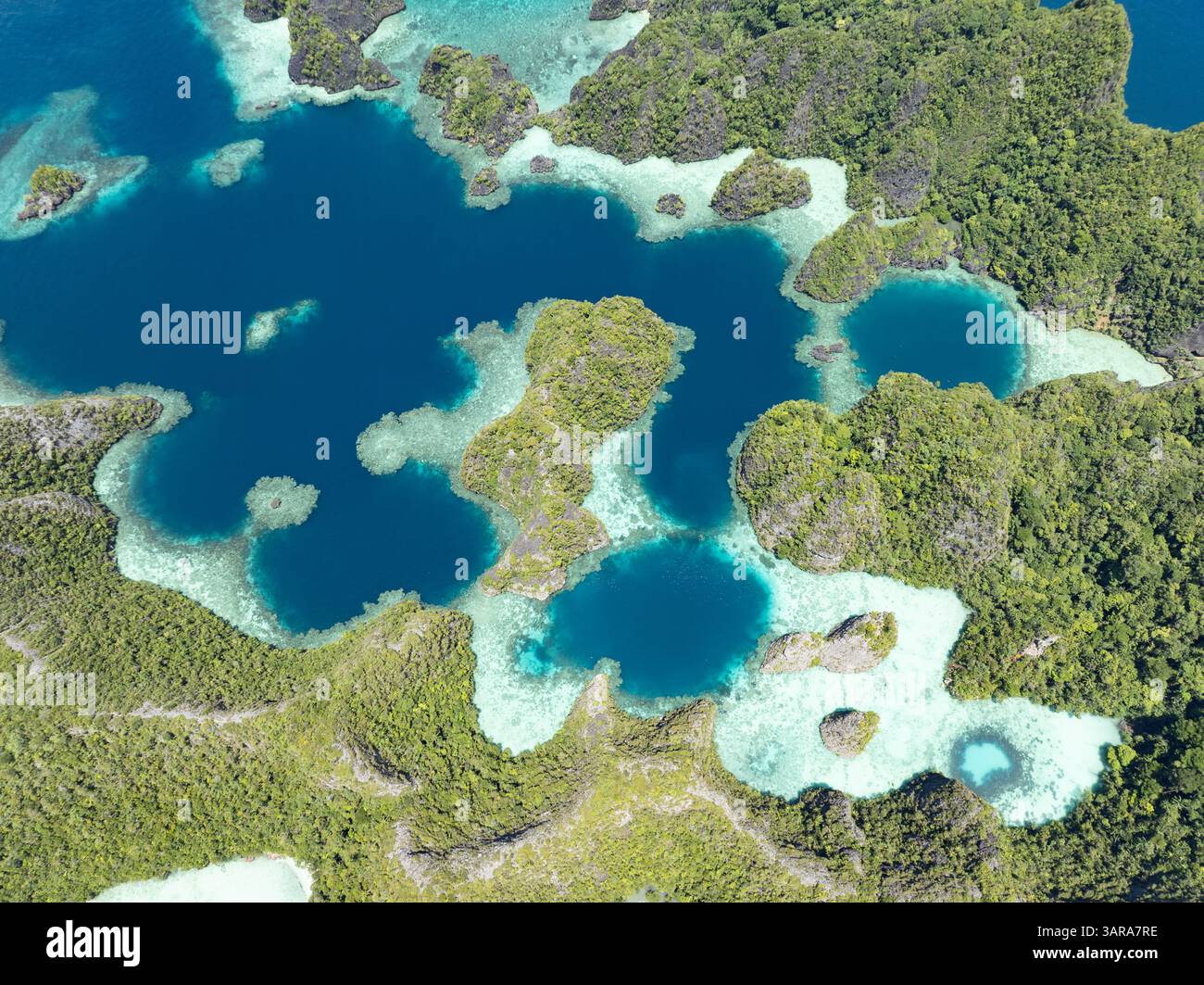 Beautiful limestone islands rise from the warm seas of Misool, Raja ...