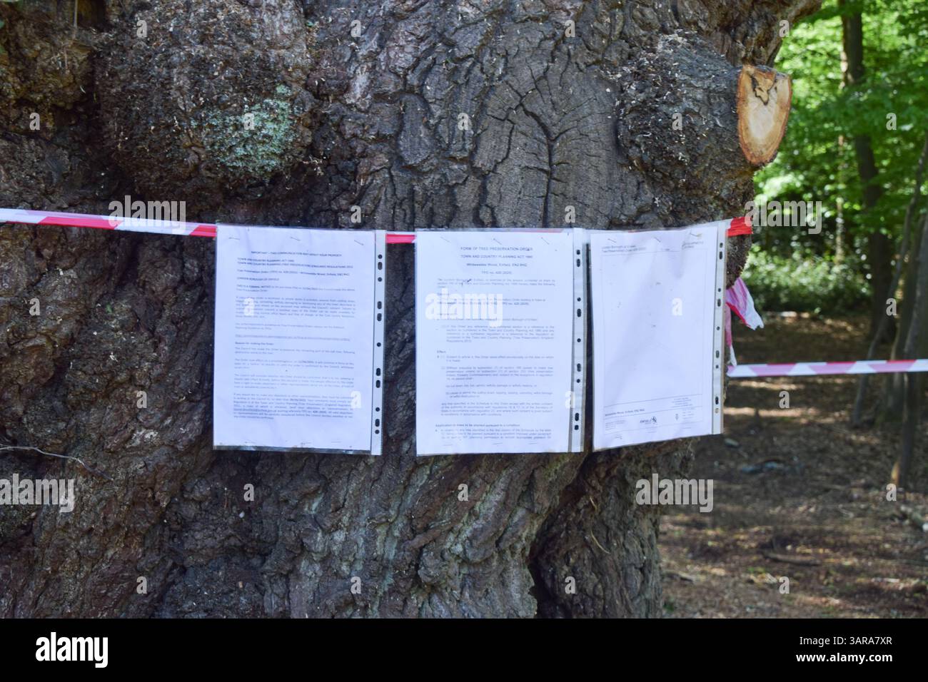 London, UK. 17th April 2025. Preservation order on the remains of the ...