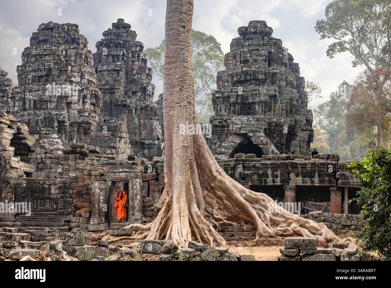 Aspects of Angkor Wat, Siem Reap Province, Cambodia. With Kapok trees ...
