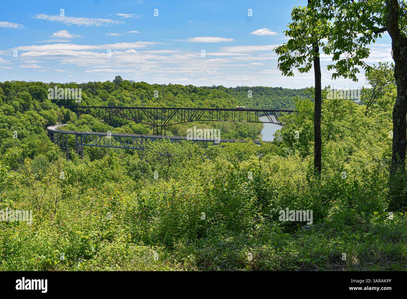 Lush vegetation surrounds a river valley crossed by an elevated train ...