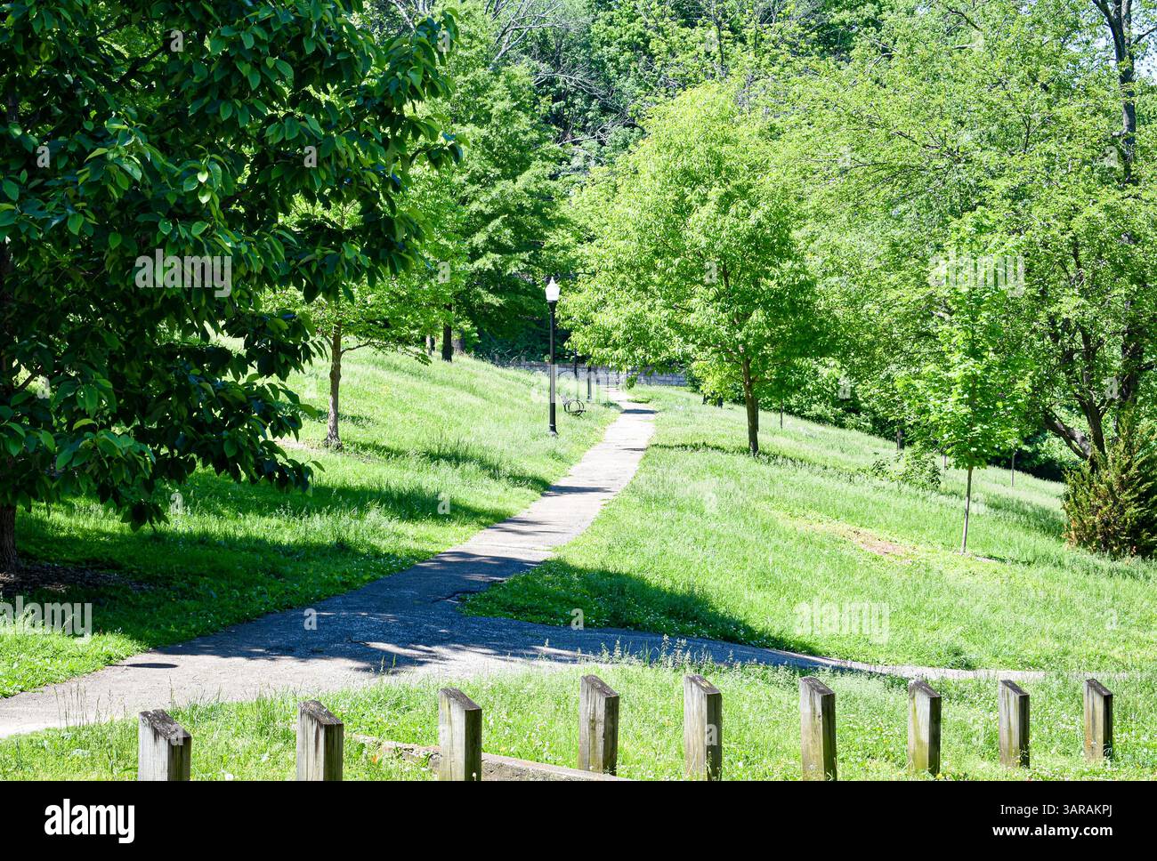 Walking path through park with green trees and grass Stock Photo - Alamy