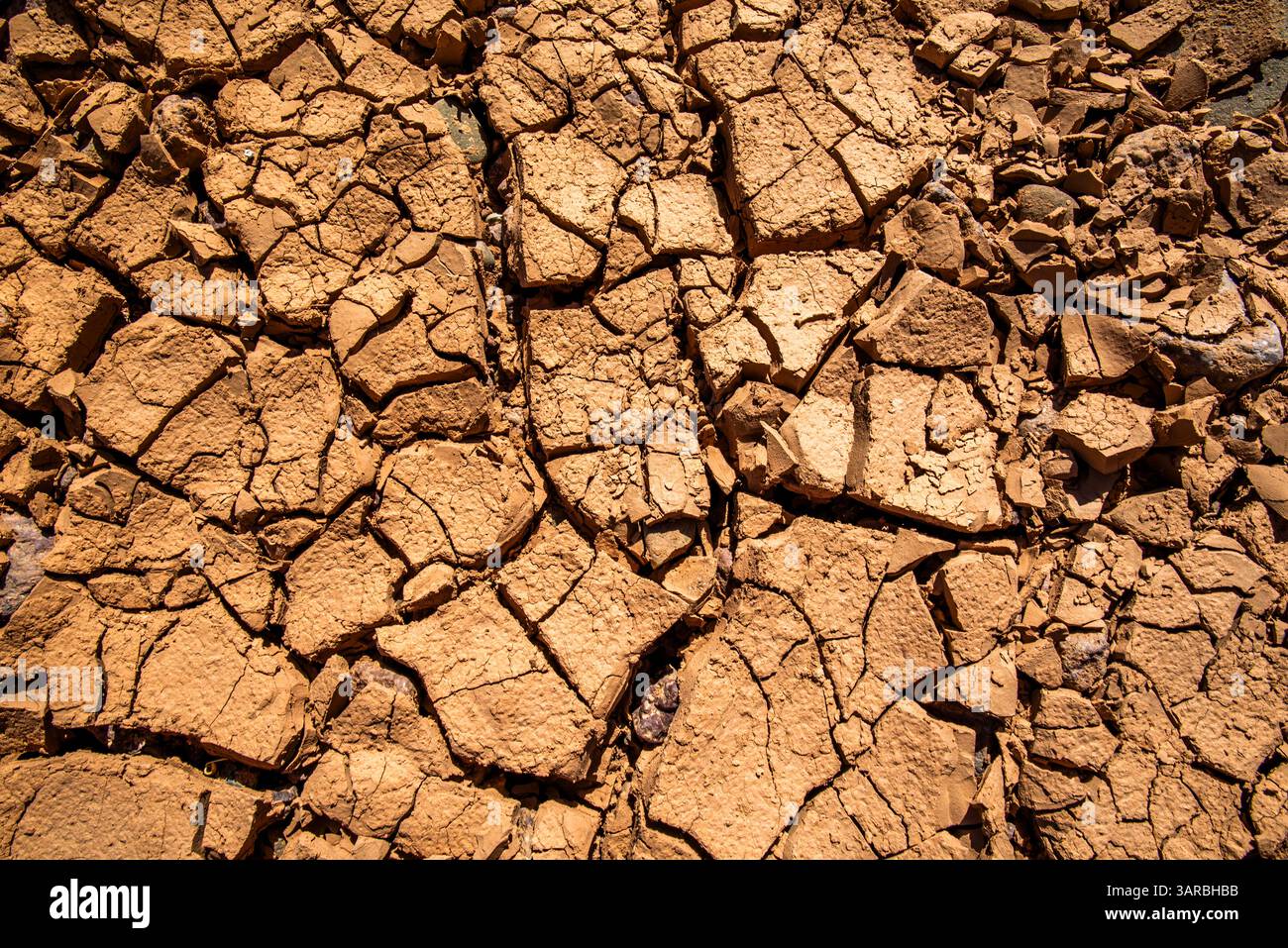 parched yellow earth with deep cracks typical of desertification in ...