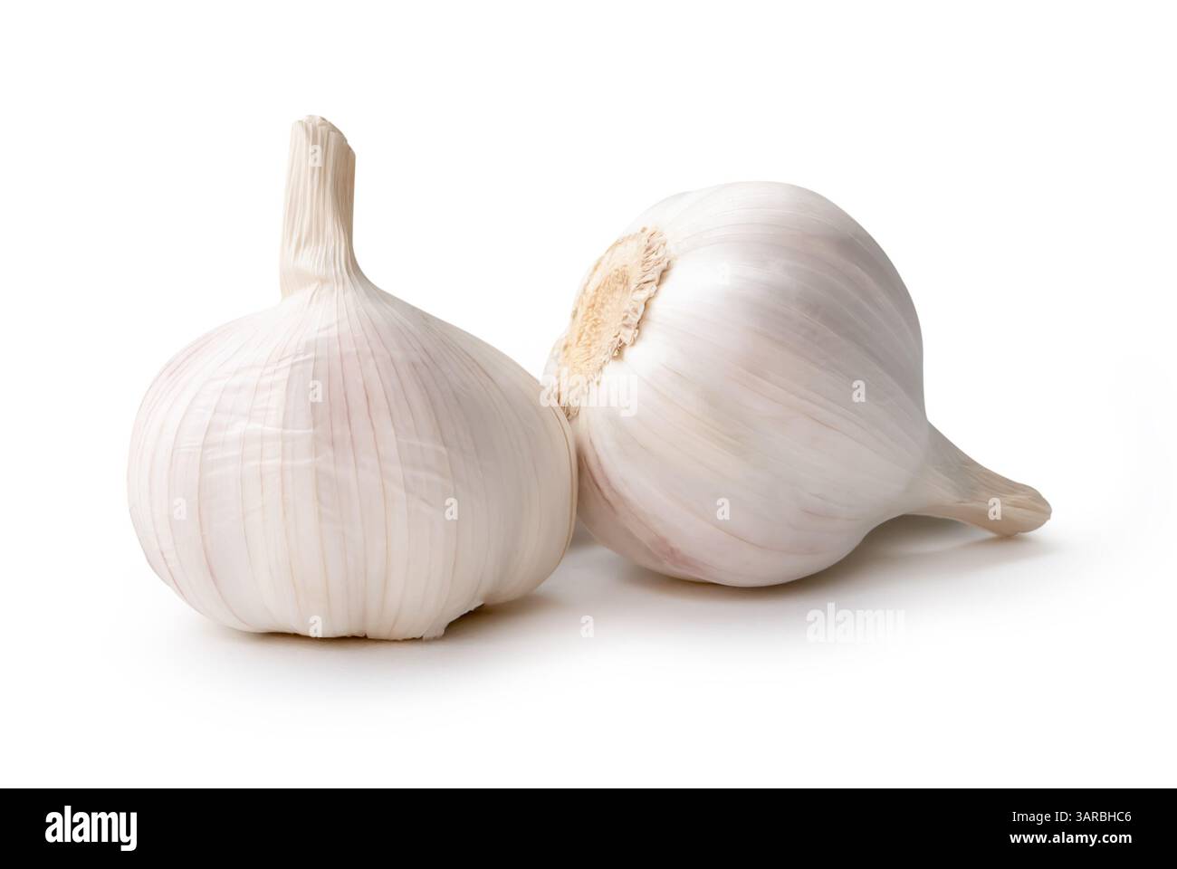 Side view of two white garlic bulbs in stack is isolated on white ...