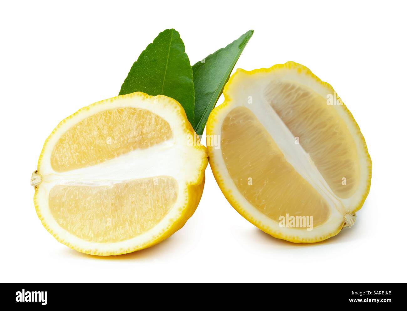 Two ellipse hi-res stock photography and images - Alamy