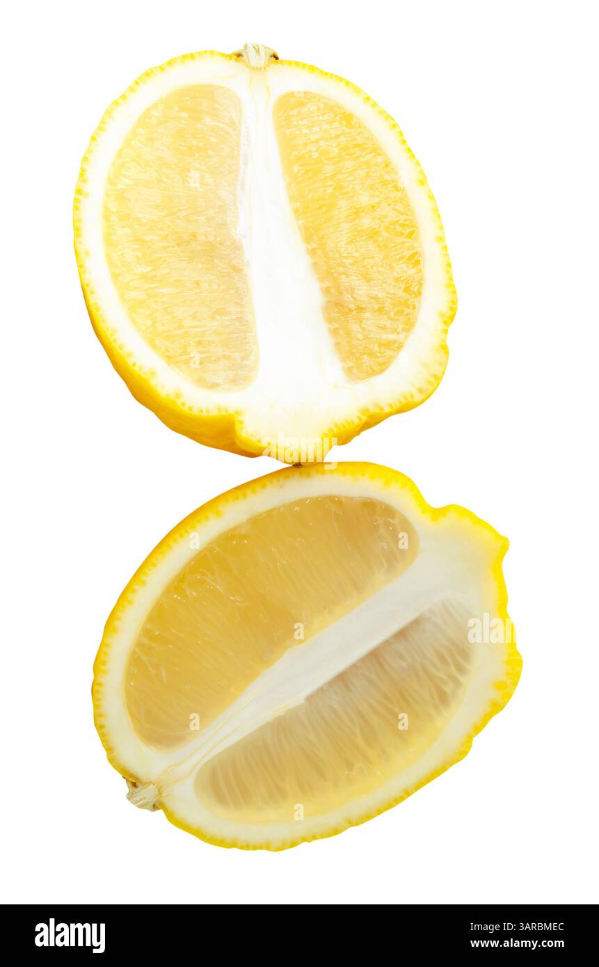 Front view of ripe yellow lemon fruit in two halves in oval or ellipses ...