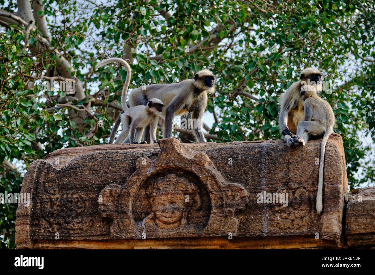 India, Karnataka state, Badami area, Pattadakal Temple Complex ...
