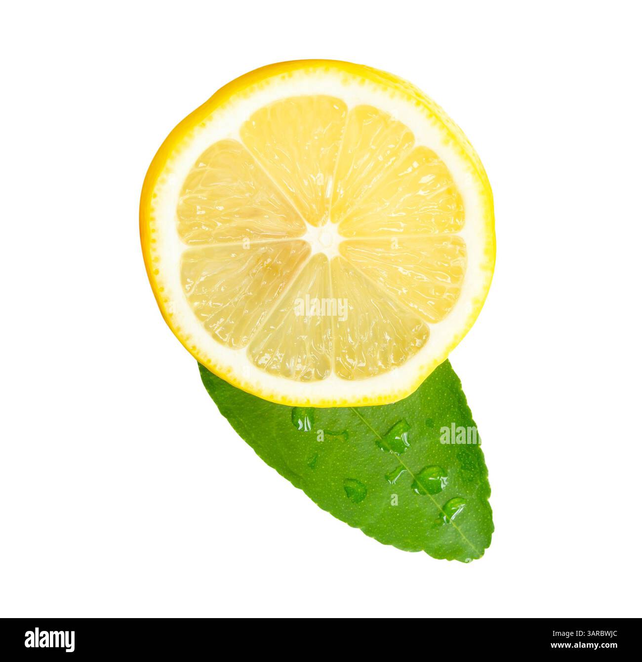 Front view of ripe yellow lemon fruit or slice in circle shape with ...