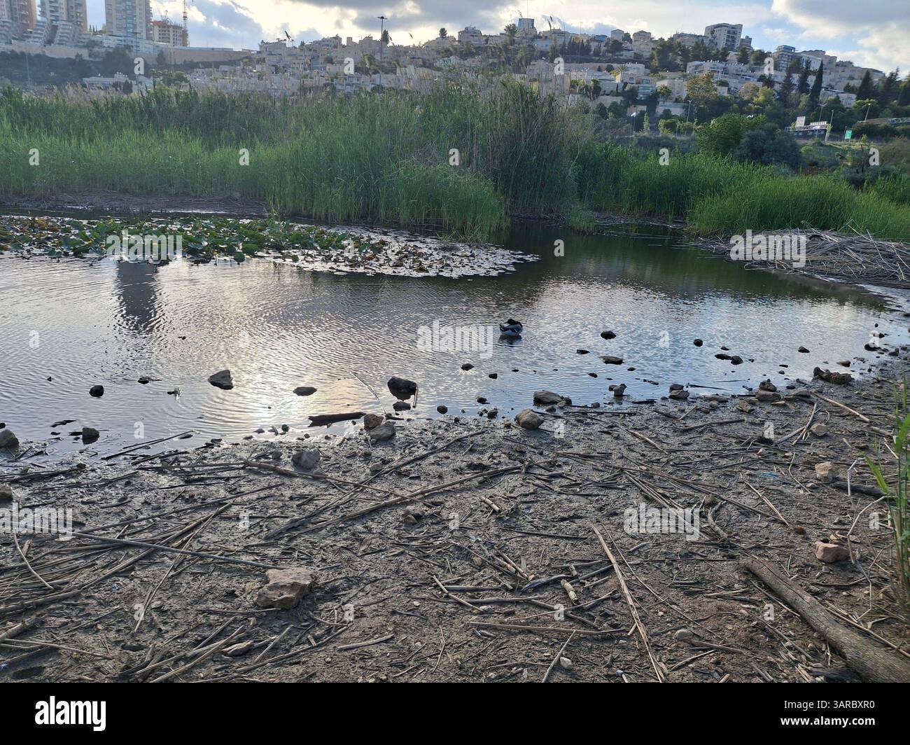 Amazing Landscapes of Israel, Views of the Holy Land Stock Photo - Alamy