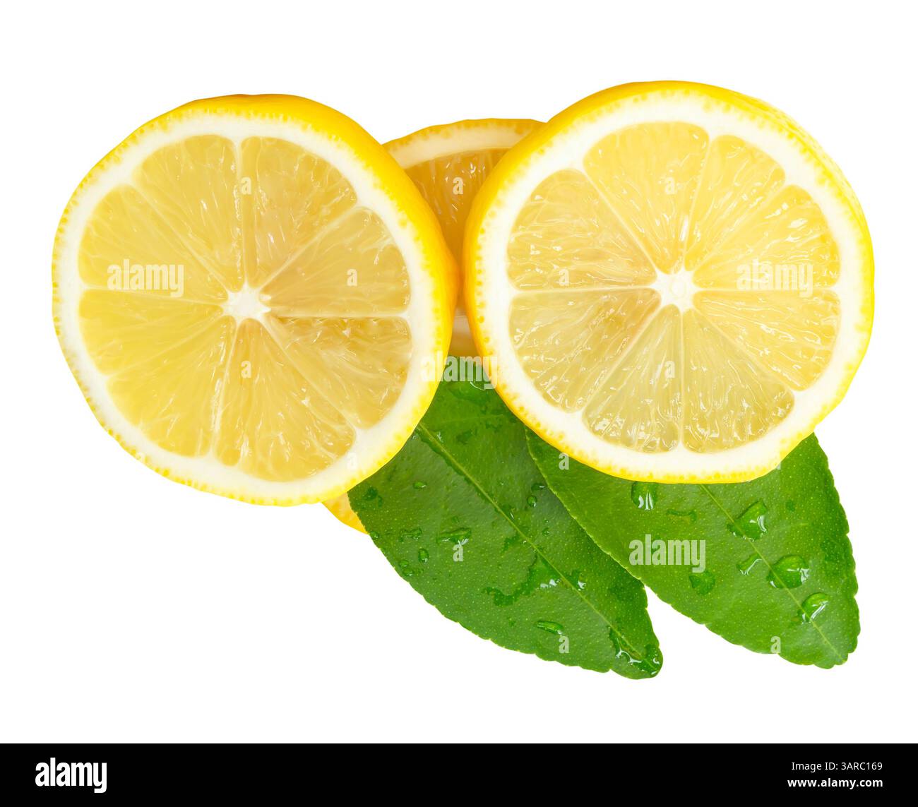 Front view of ripe yellow lemon fruit or slices in three circles with ...