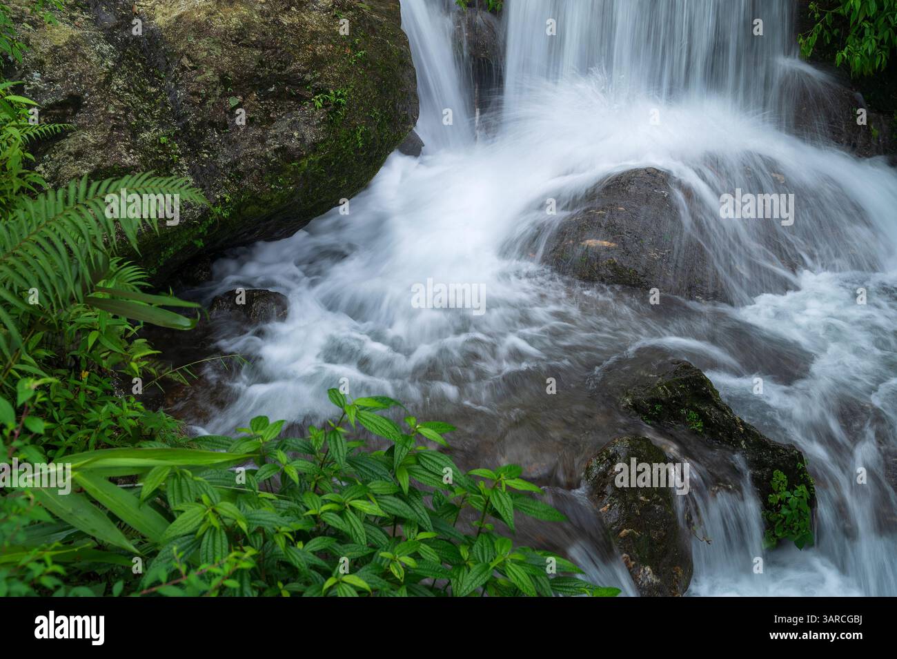 Beautiful Paglajhora waterfall on Kurseong, Himalayan mountains of ...
