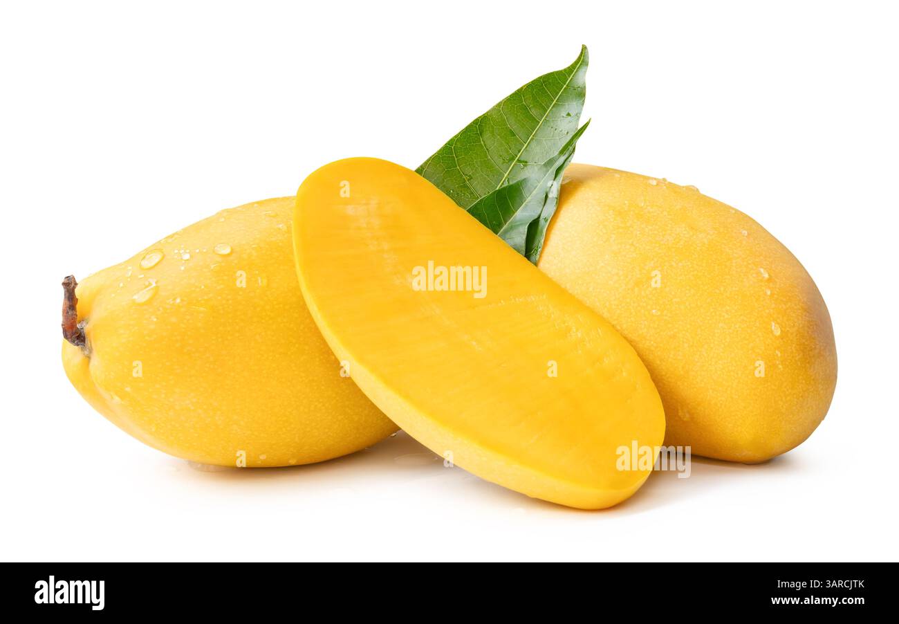 Two ripe yellow mango fruits and mango half with green leaves and water ...