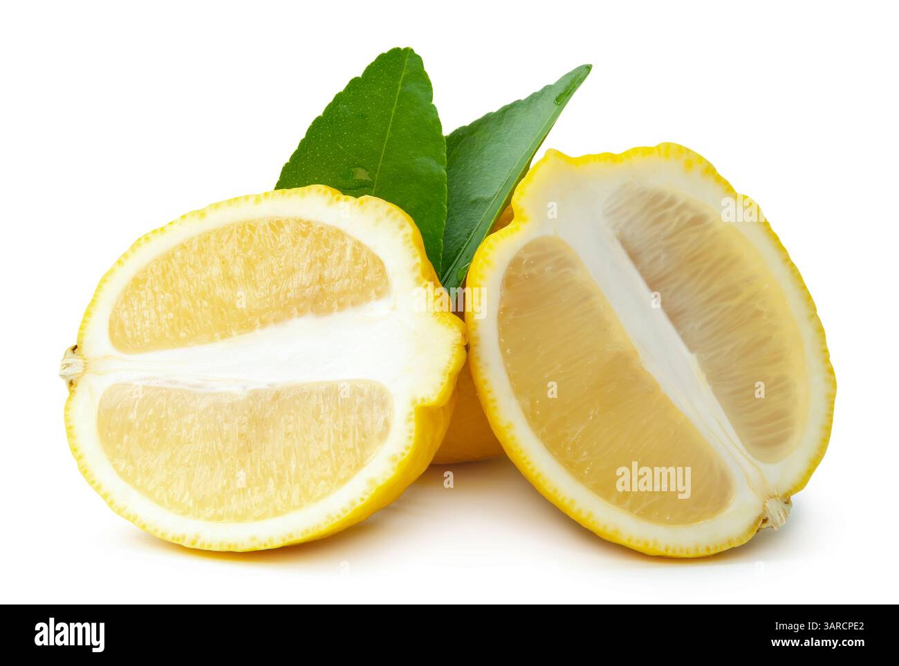 Front view of ripe yellow lemon fruit with two halves in oval or ...