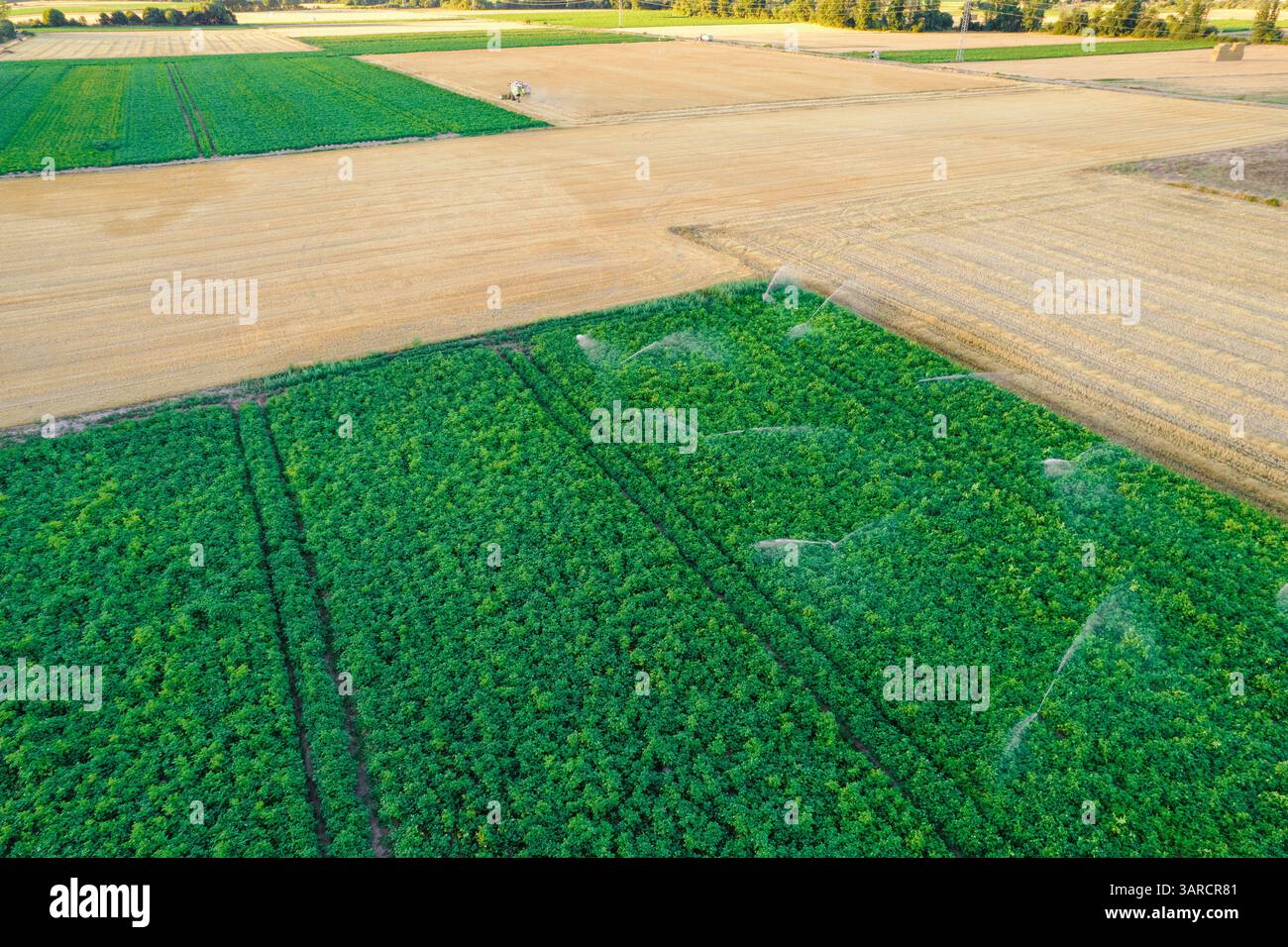 Top view watering field shot hi-res stock photography and images - Alamy