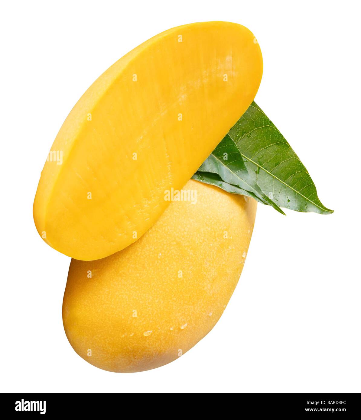 Single ripe yellow mango fruit and half with green leaves and water ...