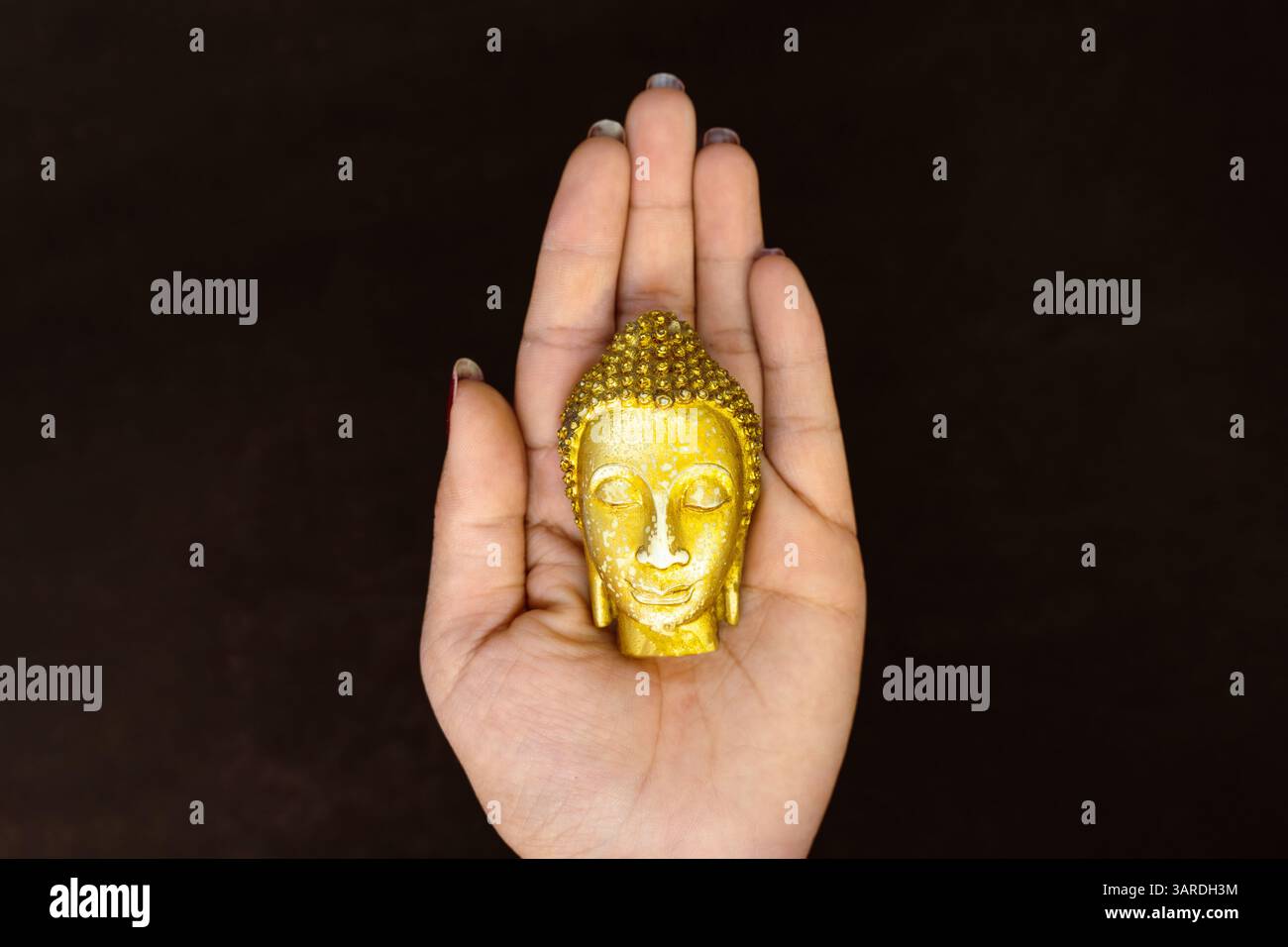 Head Statue of Lord siddhartha Gautama with reflection and lights for ...