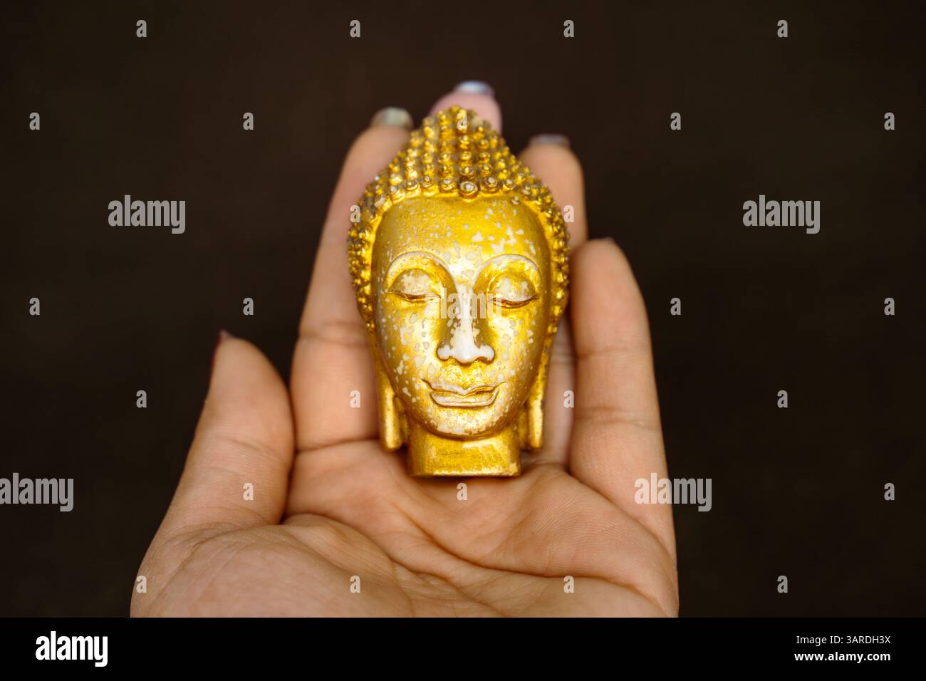 Head Statue of Lord siddhartha Gautama with reflection and lights for ...