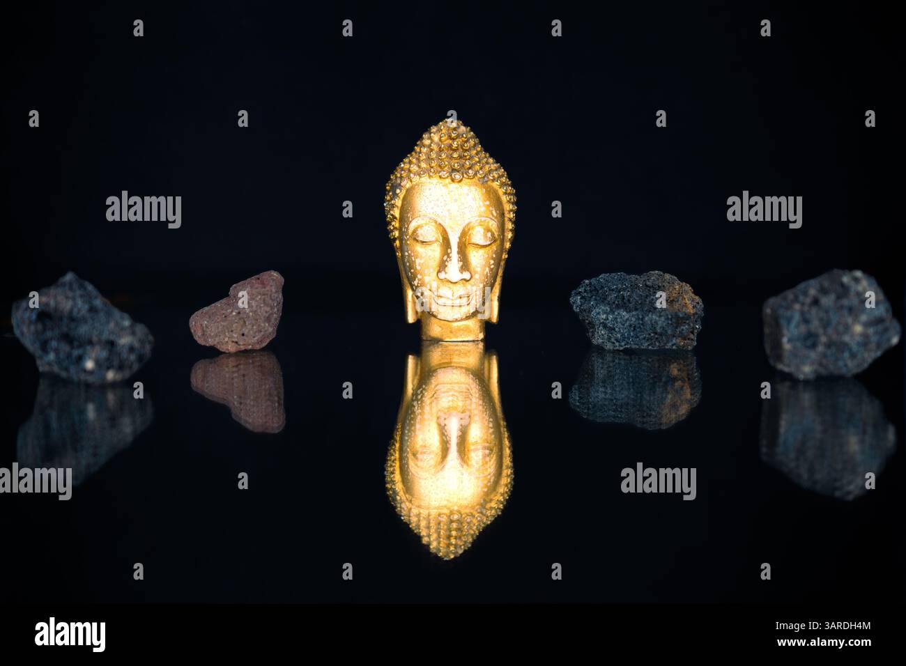 Head Statue of Lord siddhartha Gautama with reflection and lights for ...