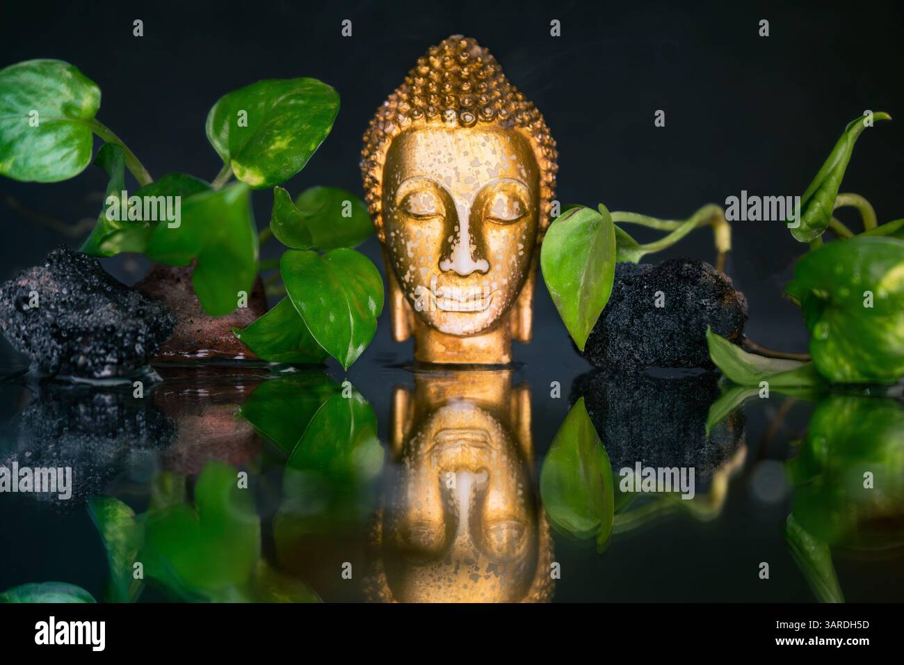 Head Statue of Lord siddhartha Gautama with reflection and lights for ...