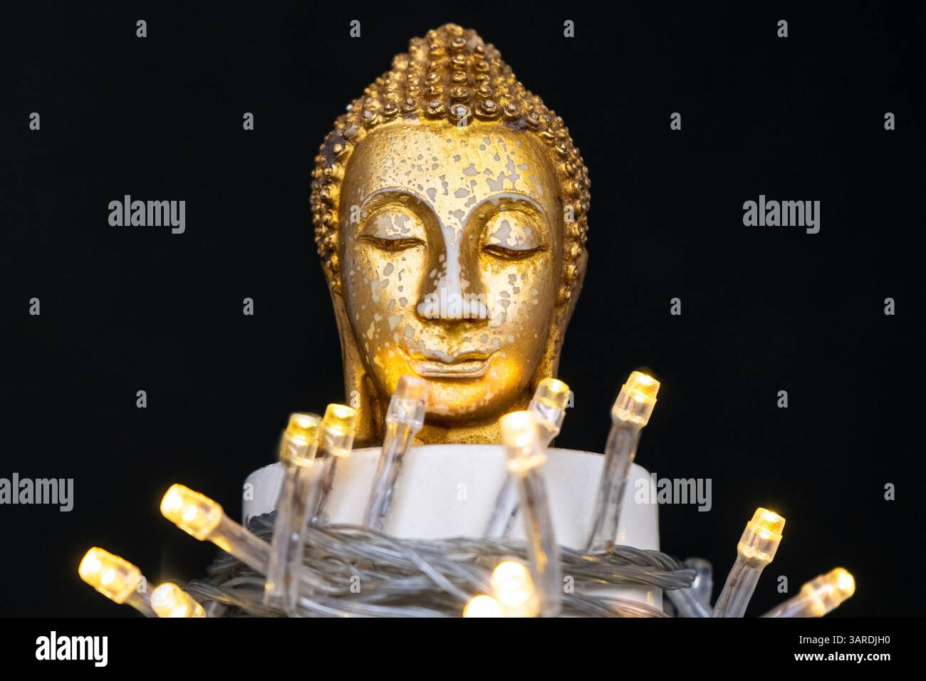 Head Statue of Lord siddhartha Gautama with reflection and lights for ...